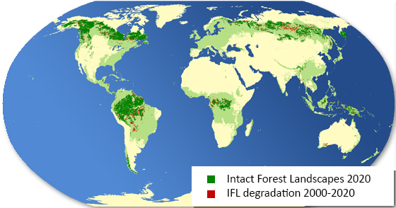 IFL Map