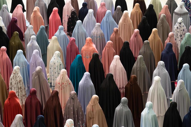 Projects – Global Mapping Hub by Greenpeace International