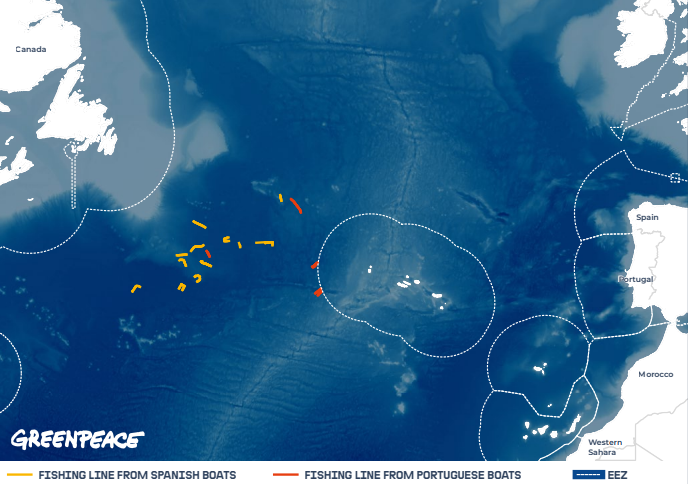 Hooked on sharks – Global Mapping Hub by Greenpeace International