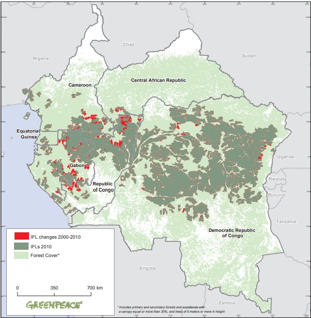 Intact forest landscapes – Global Mapping Hub by Greenpeace International