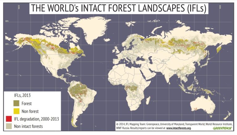 Intact forest landscapes – Global Mapping Hub by Greenpeace International