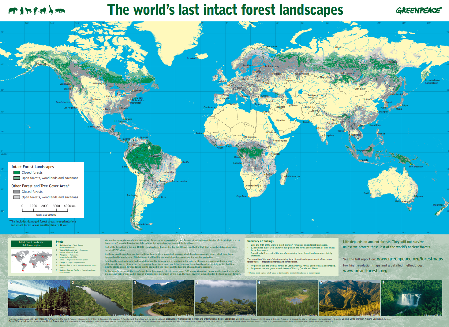 Intact forest landscapes – Global Mapping Hub by Greenpeace International