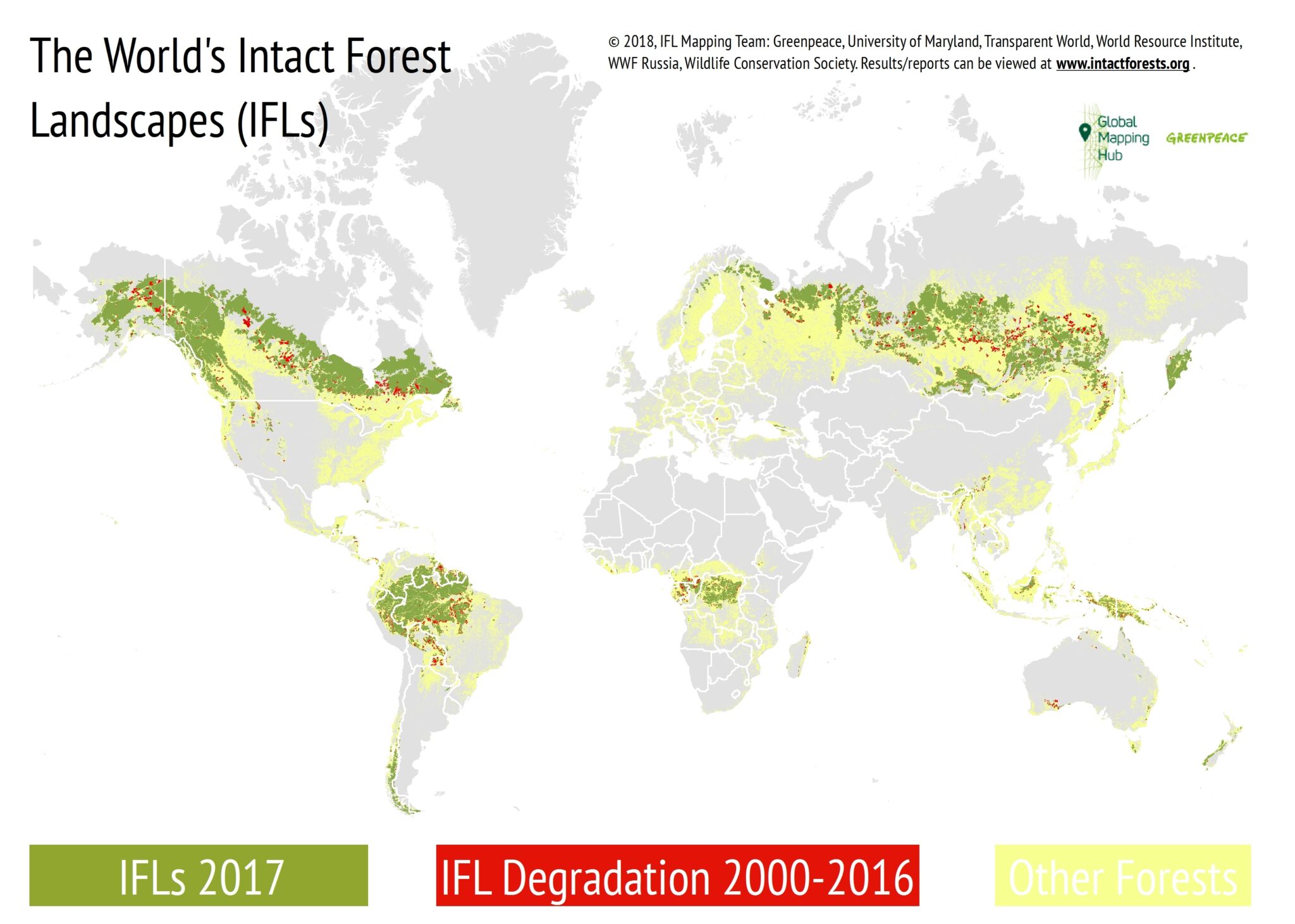 Intact forest landscapes – Global Mapping Hub by Greenpeace International