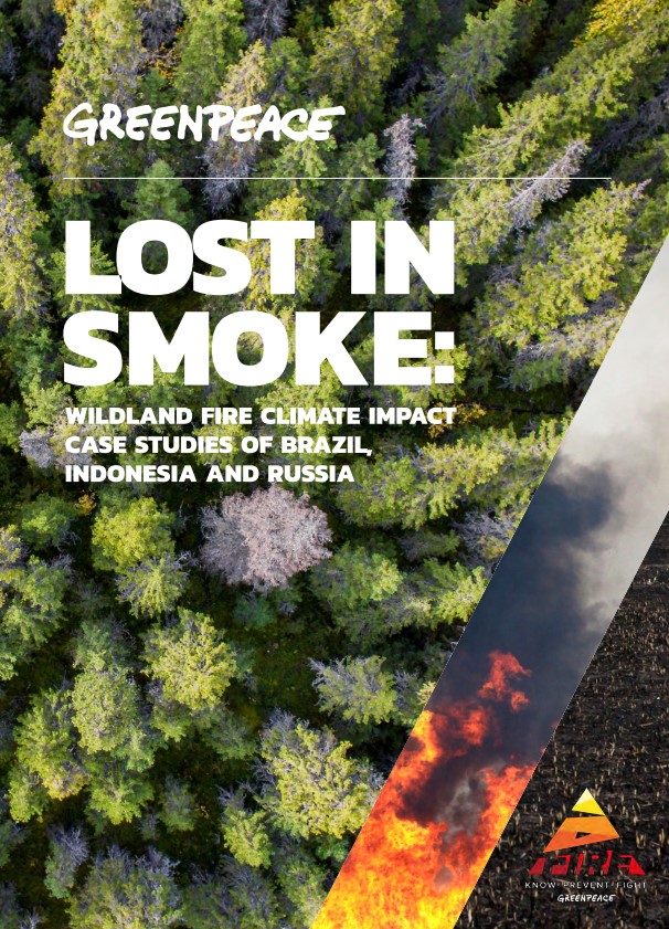 Mapping wildfires – Global Mapping Hub by Greenpeace International