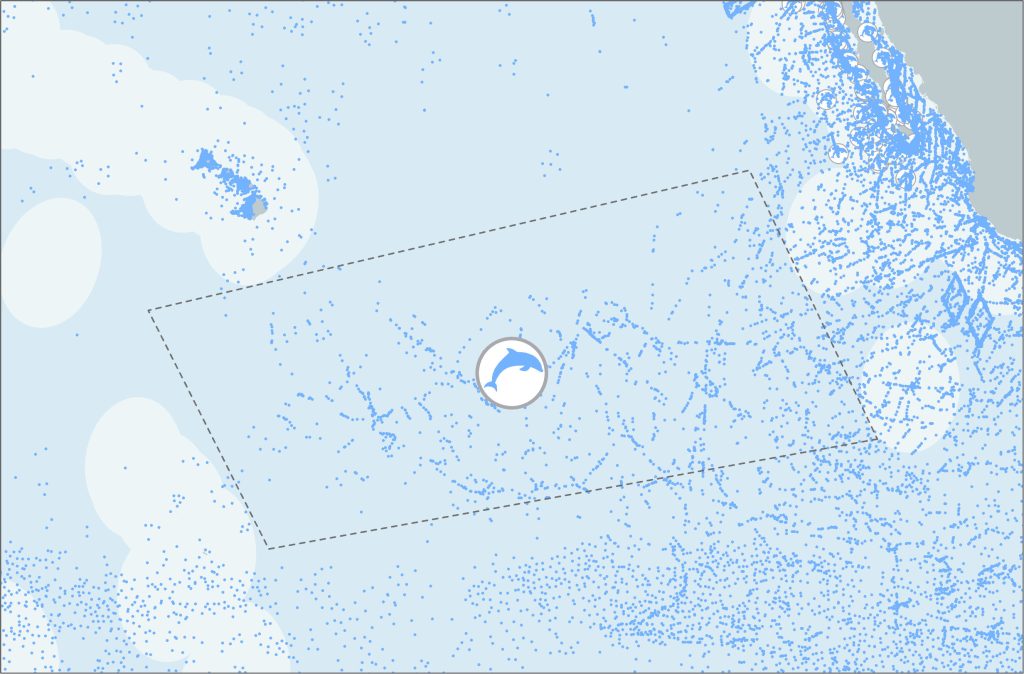 Whales at risk from deep sea mining – Global Mapping Hub by Greenpeace ...
